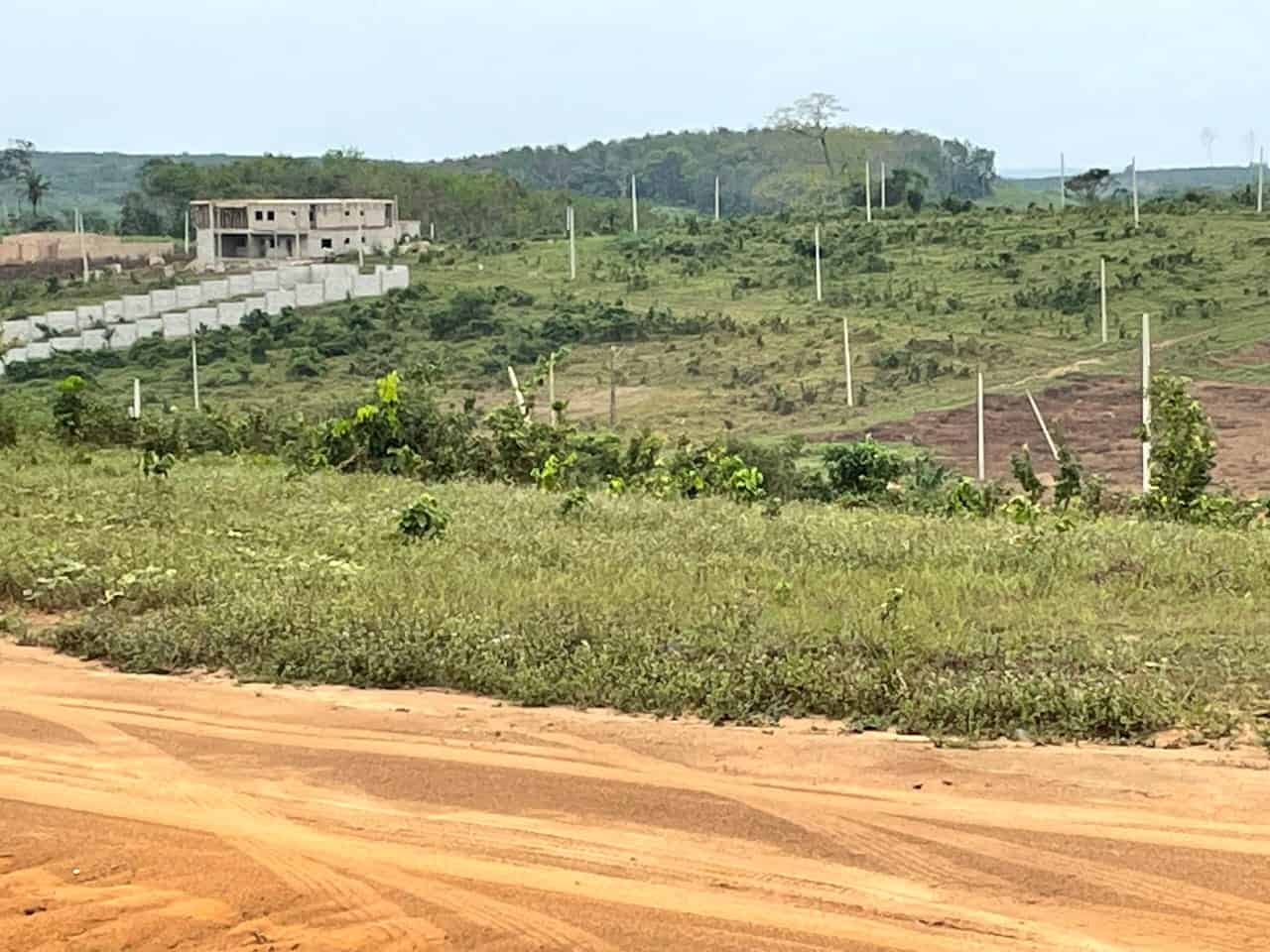 Terrain à vendre à Songon Andonkoi | Immobilier Côte d'Ivoire | ImmoLink