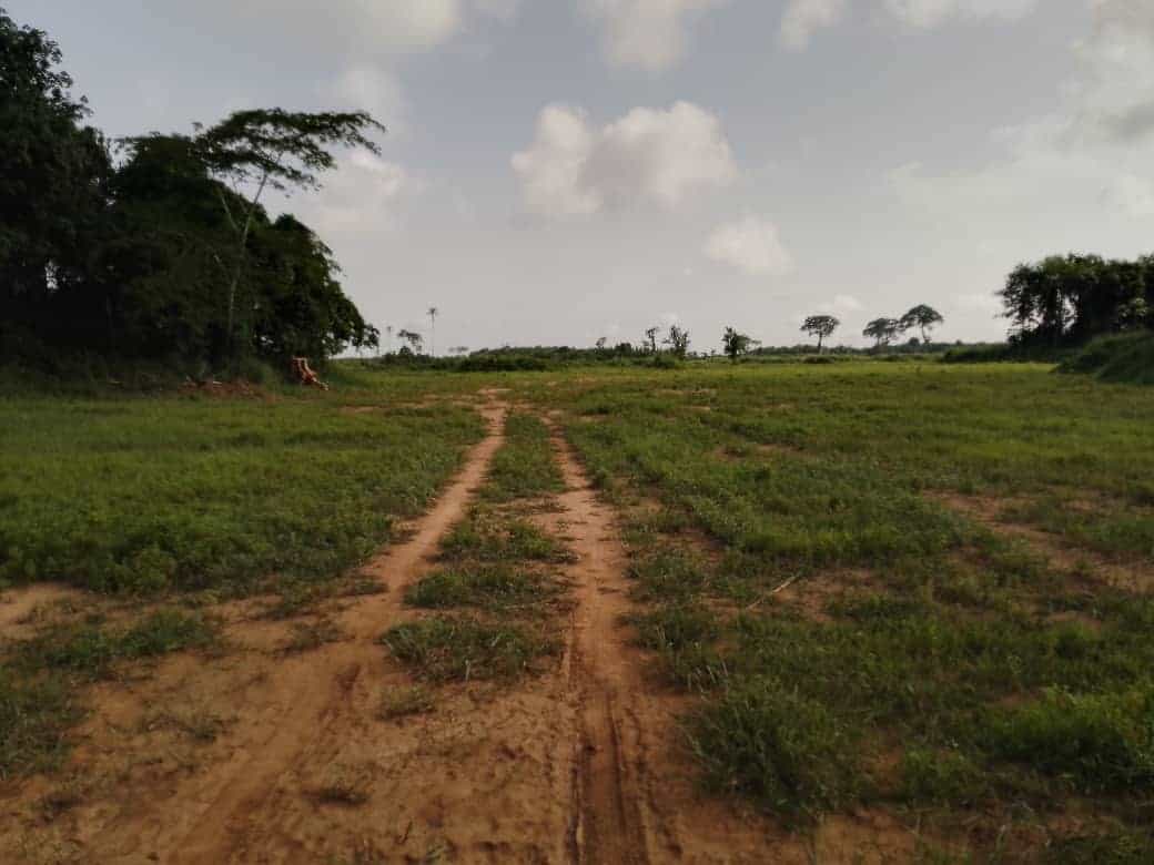 Terrain à vendre à SONGON | Annonces Immo