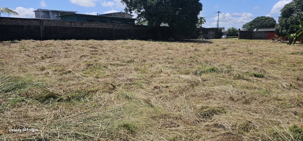 Terrain de 1670 m² à vendre à Okala - Gabon | Annonces Immo | ImmoLink