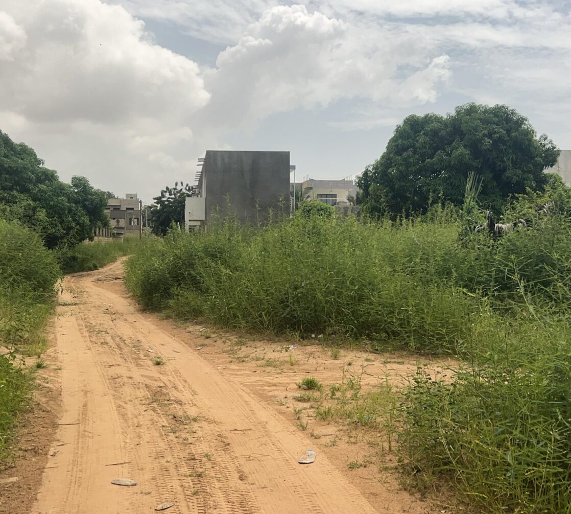 Terrains de 300 mètres carrés à vendre à Saly Sénégal | ImmoLink